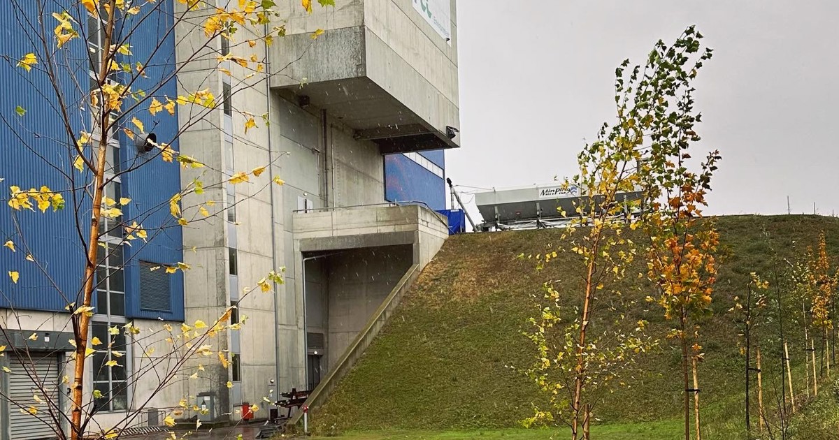 FCC Environment CEE planted 15 trees to compensate the CO2 footprint ...